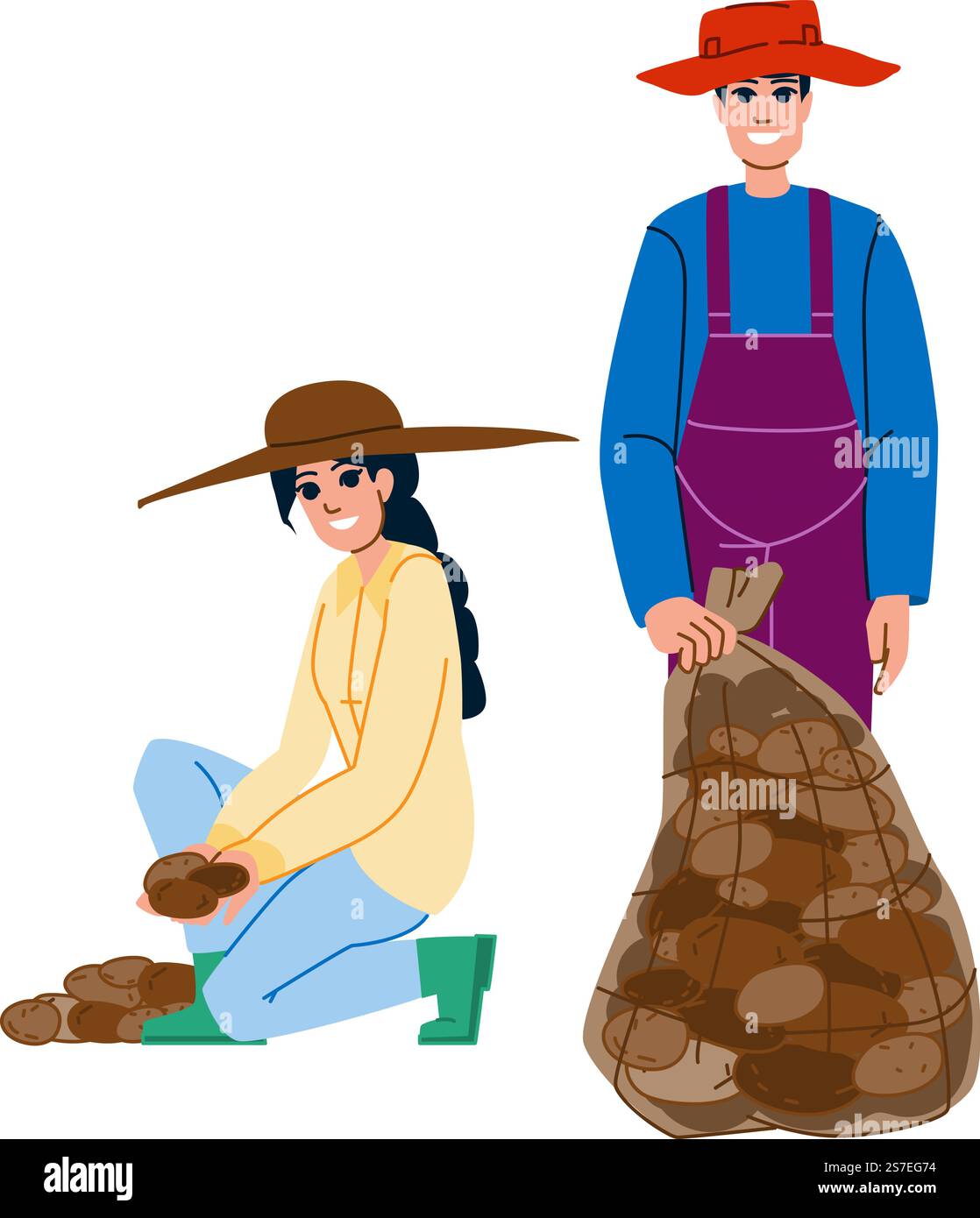 harvesting potatoes vector. agriculture food, organic field, fresh ...