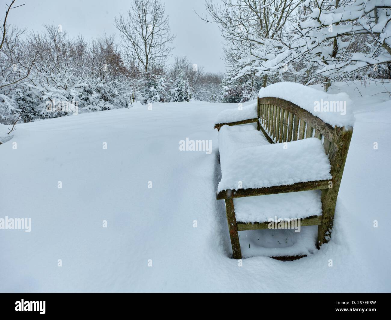 An empty garden seat after deep overnight snow on the North Yorkshire ...