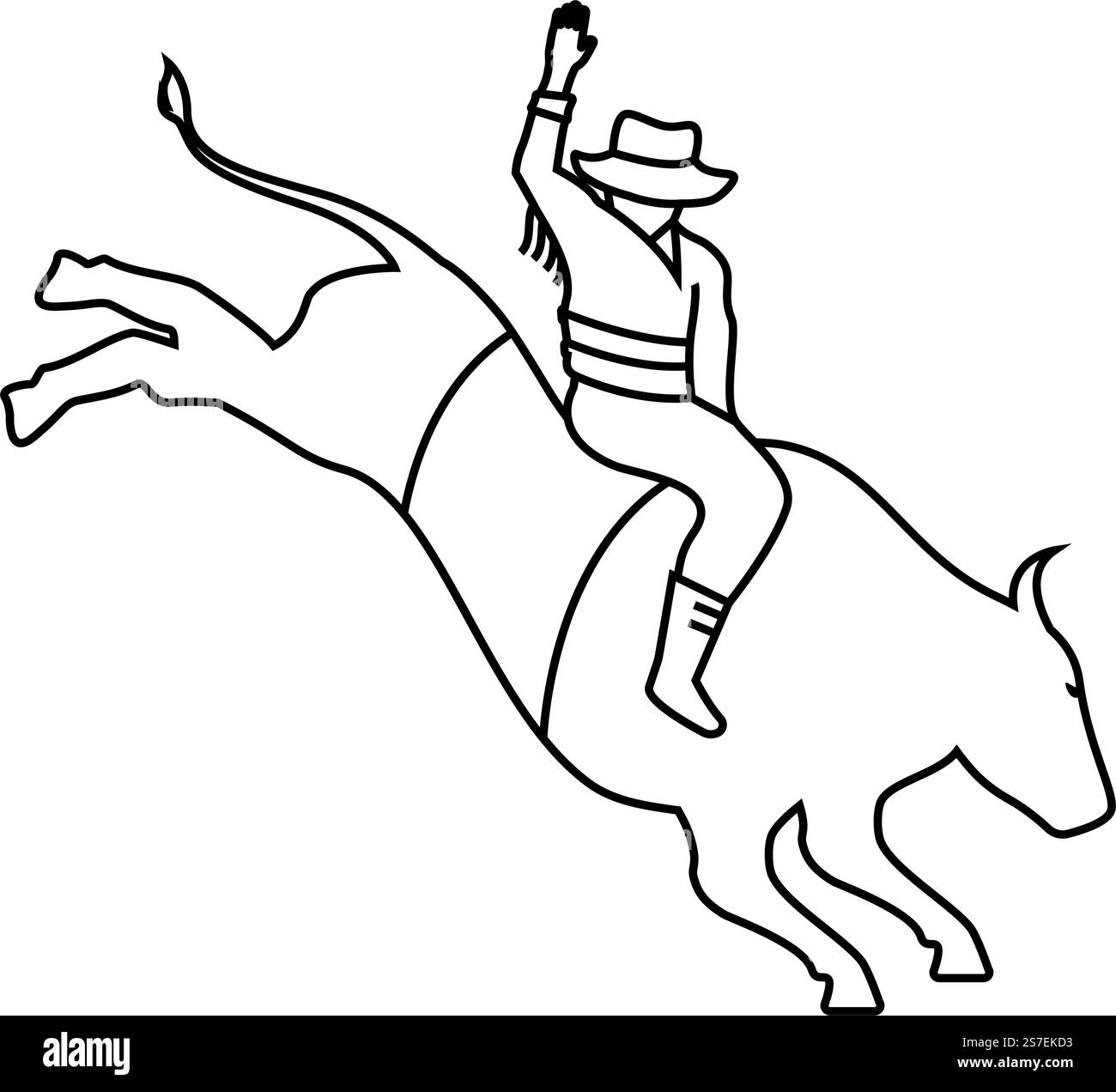 Bull riding mexico Cut Out Stock Images & Pictures - Alamy