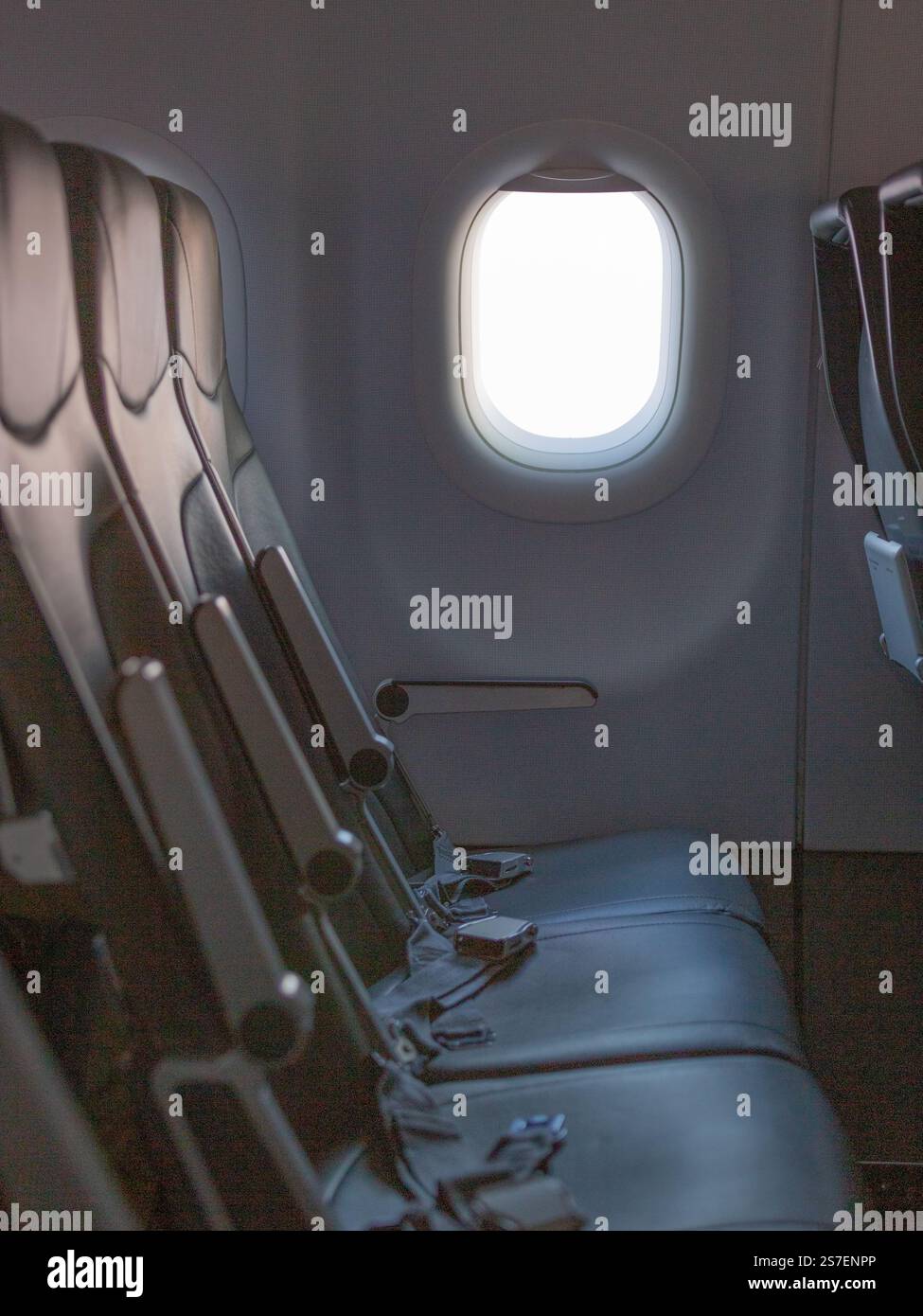 Airplane Interior Seats and Window Stock Photo - Alamy