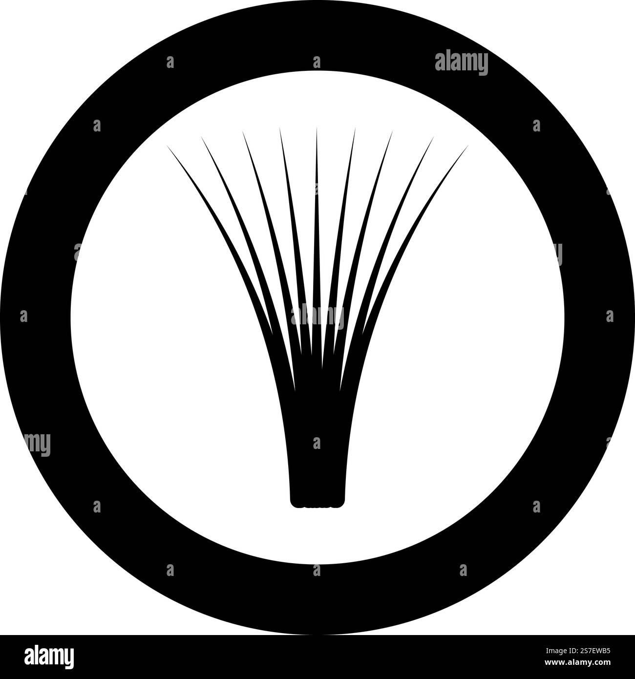 Edible grass lemongrass Cymbopogon citratus spices vegetable herbal plant icon in circle round ...