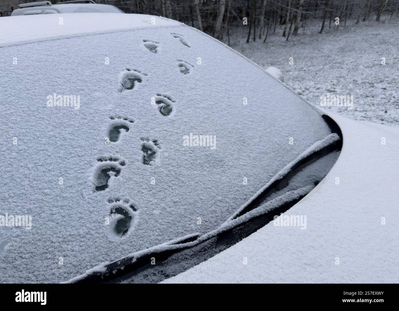 Funny footprints on a frosty car windshield in winter Stock Photo - Alamy