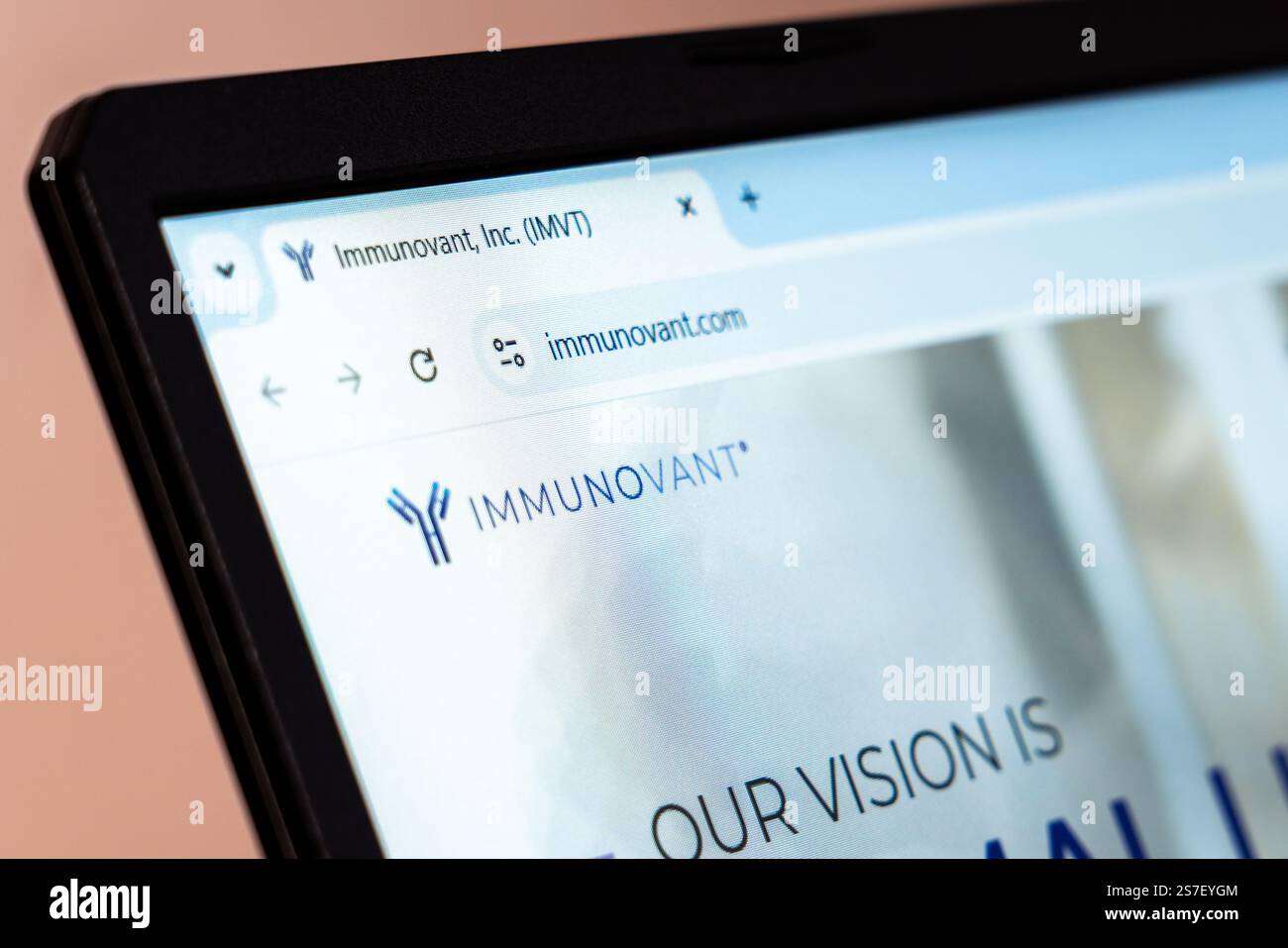 New York, USA - January 19, 2025: Immunovant website showcasing biotechnology advancements and ...