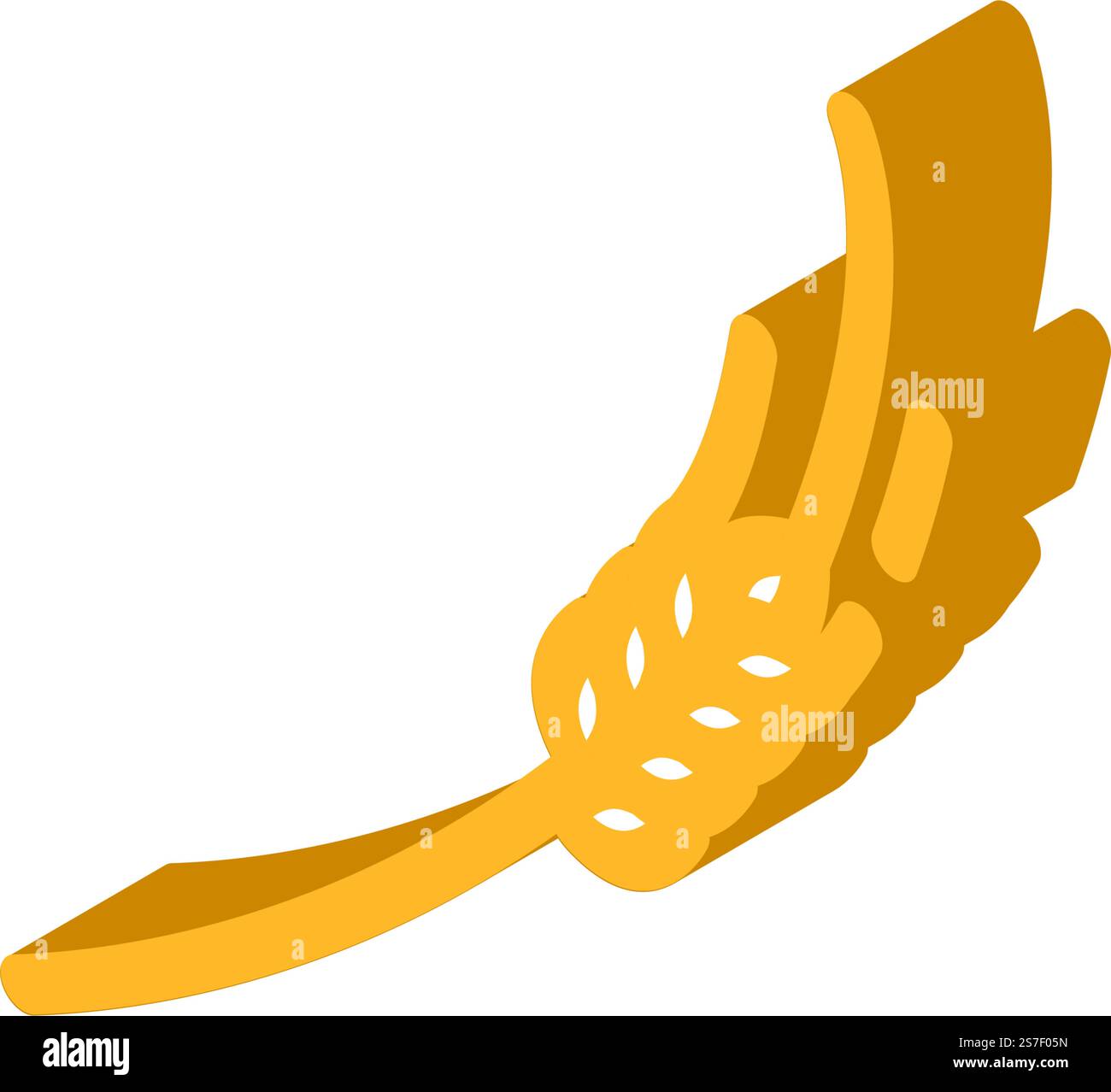 spikelets ripe wheat isometric icon vector. spikelets ripe wheat sign ...