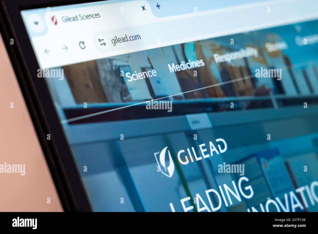 New York, USA - January 19, 2025: Gilead Sciences website showcasing pharmaceutical innovations ...