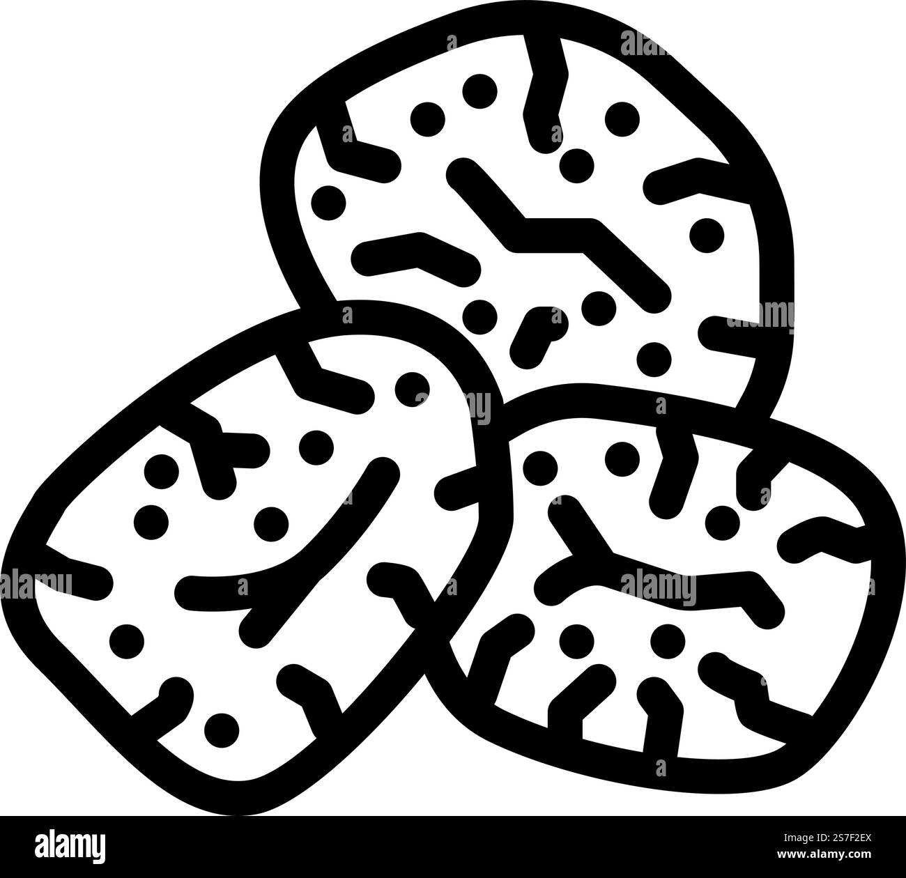 Top view dried preserved Black and White Stock Photos & Images - Alamy