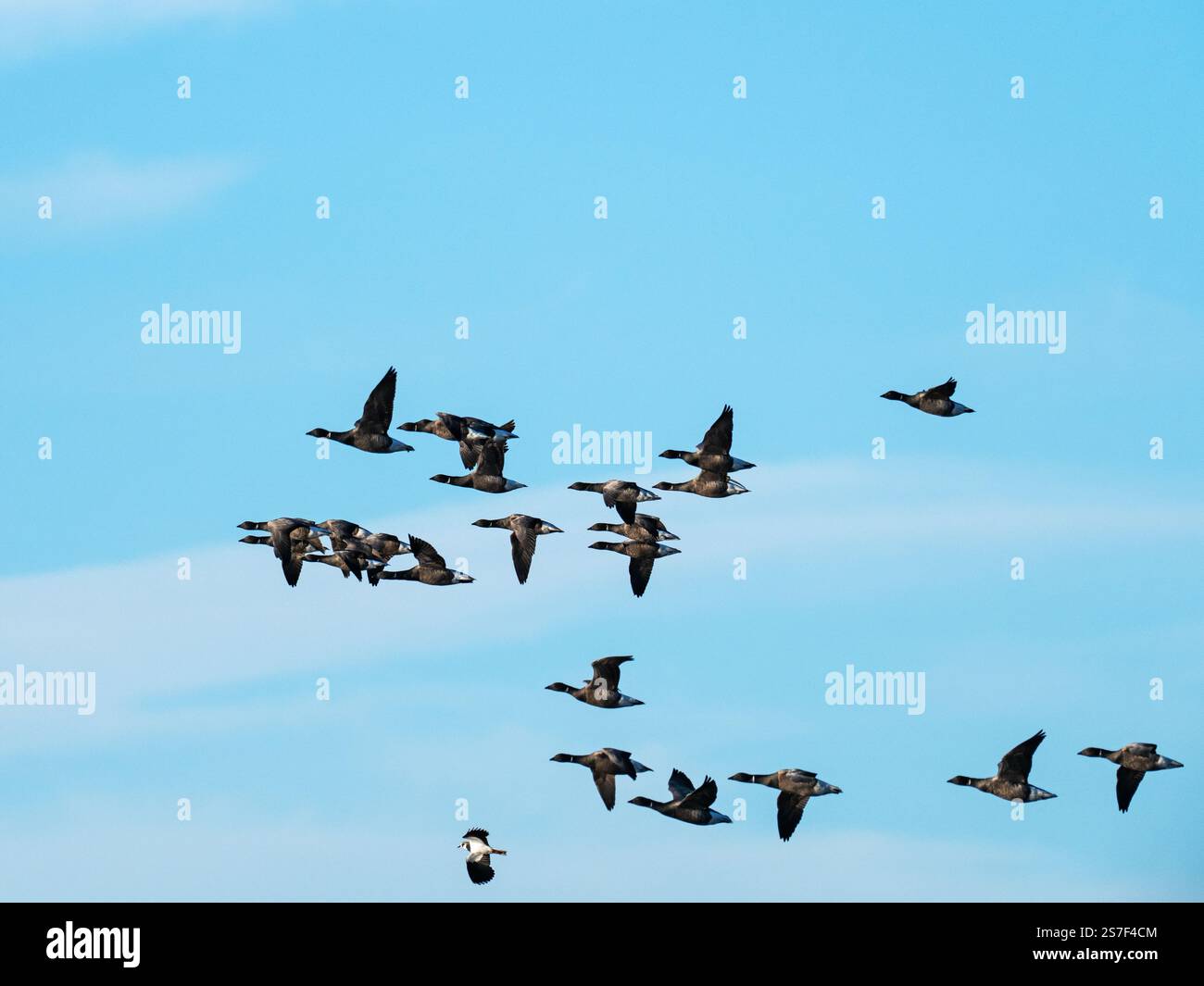 Flying over keyhaven lagoon hi-res stock photography and images - Alamy