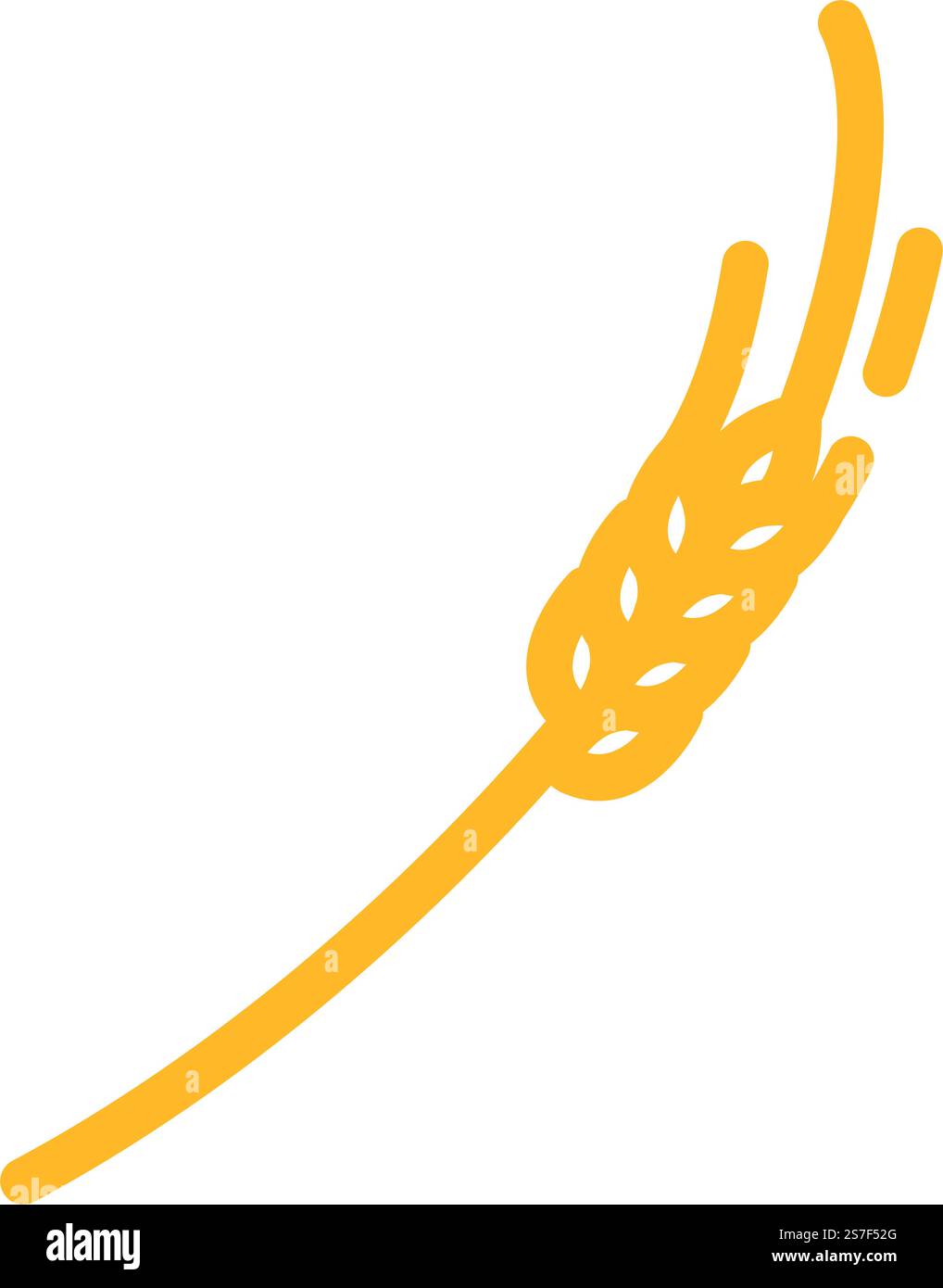 spikelets ripe wheat color icon vector. spikelets ripe wheat sign ...