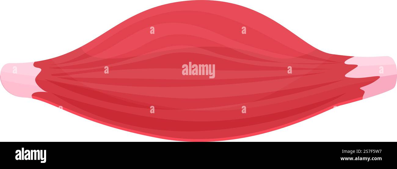 Flex bicep icon cartoon vector. Strong arm. Fiber body. Flex bicep icon ...