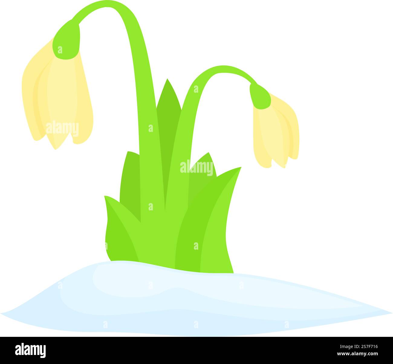 Gold snowdrop icon cartoon vector. Snow flower. Petal fresh. Gold ...