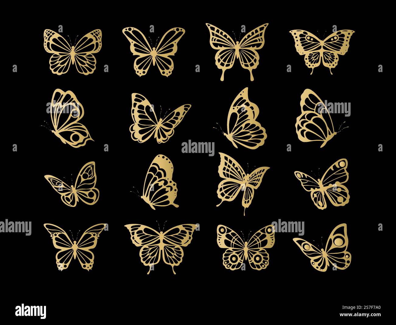 Gold wings butterfly. Golden insect bugs tatto silhouettes, queen ...