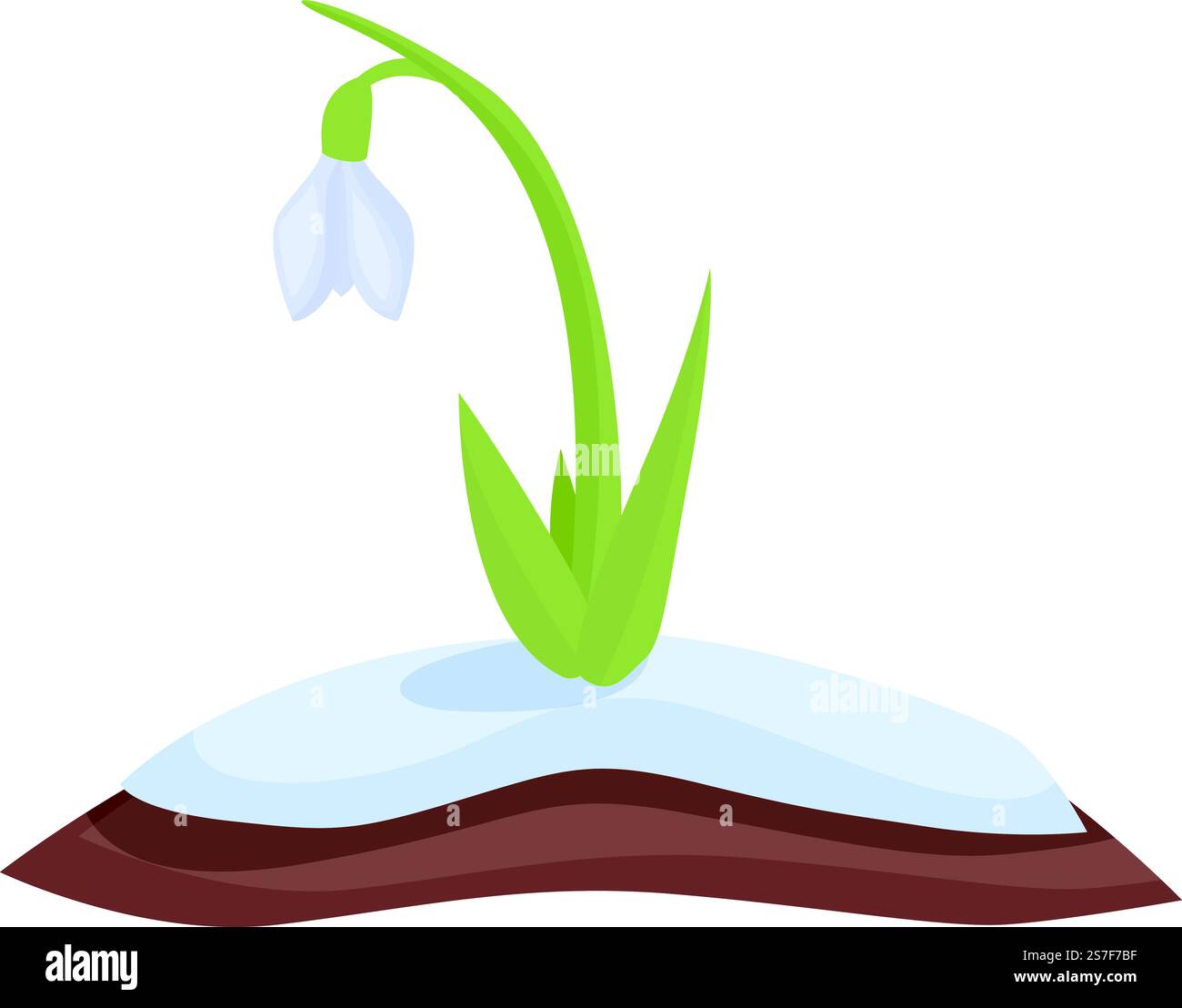Snowdrop petal icon cartoon vector. Spring flower. Flora leaf. Snowdrop ...