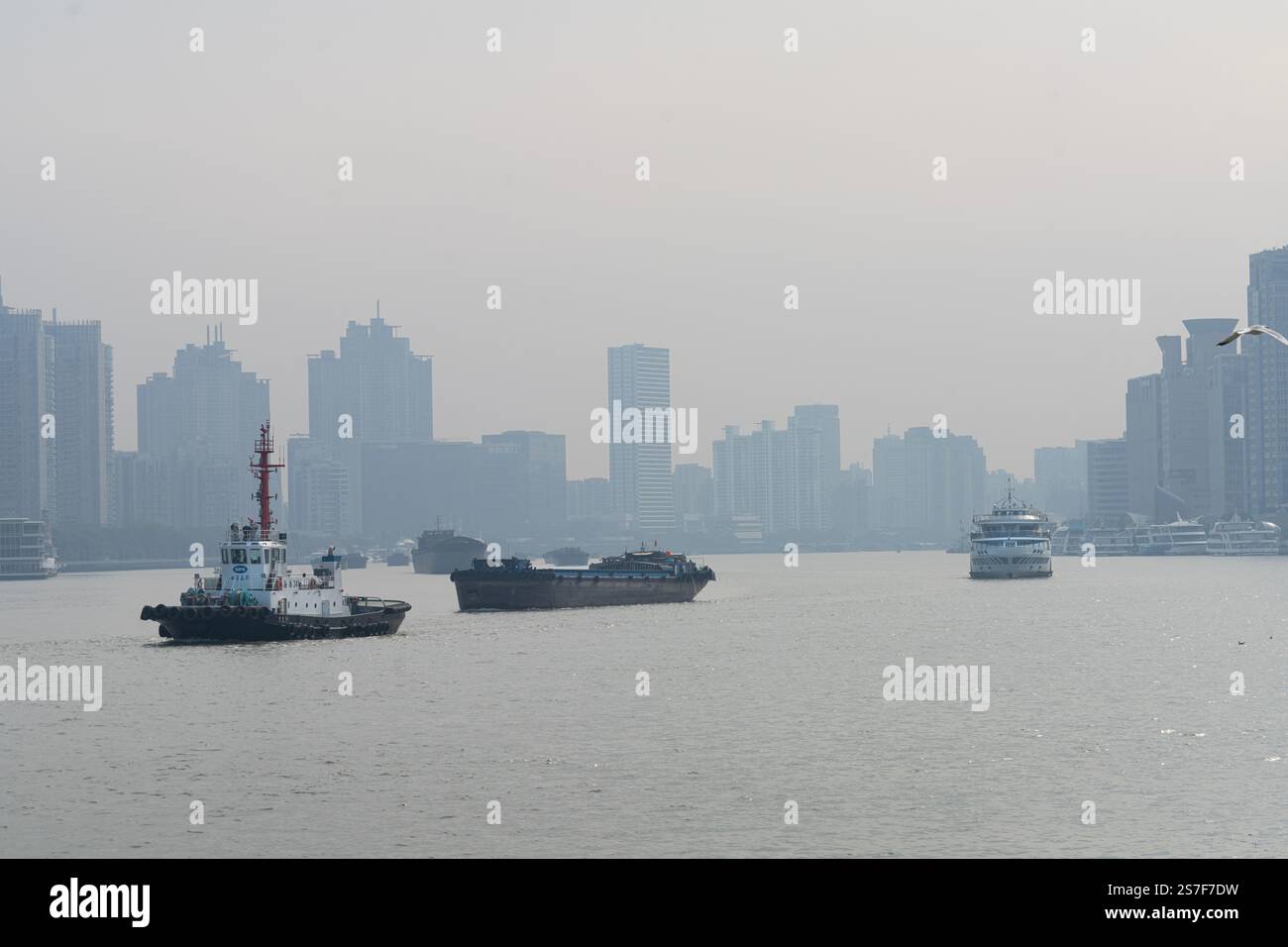 Shanghai, China. January 7, 2025. cargo ships transiting the Huangpu ...