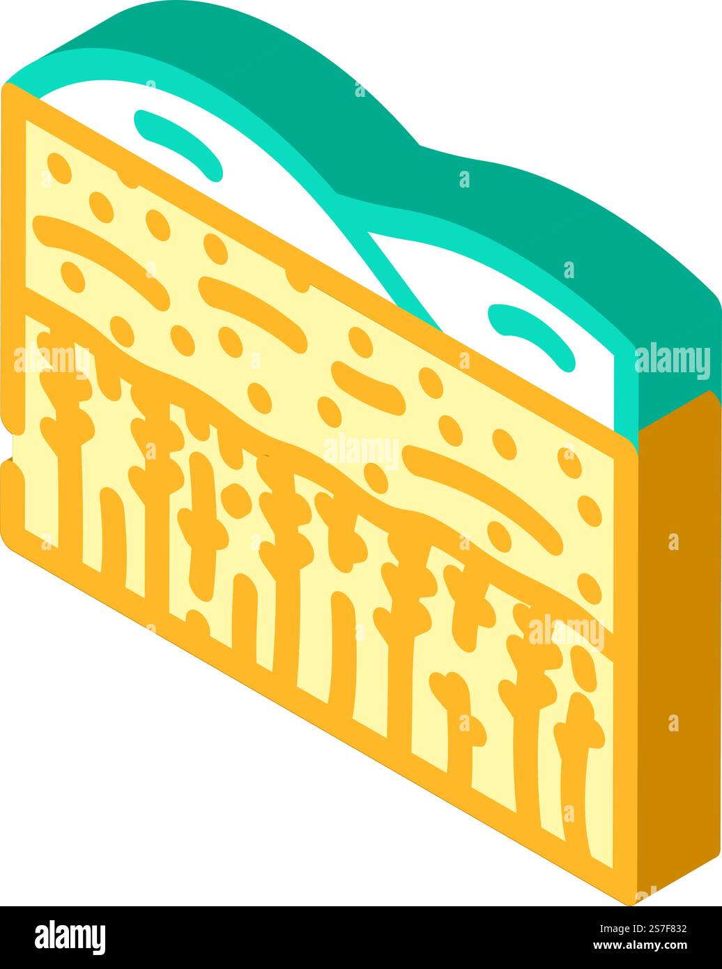 field yellow ripe wheat isometric icon vector. field yellow ripe wheat ...