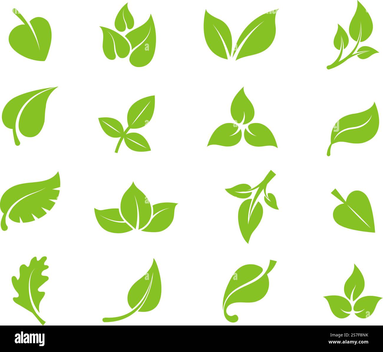 Bio leaf image. Green leaves organic vegan life healthy vector simple ...