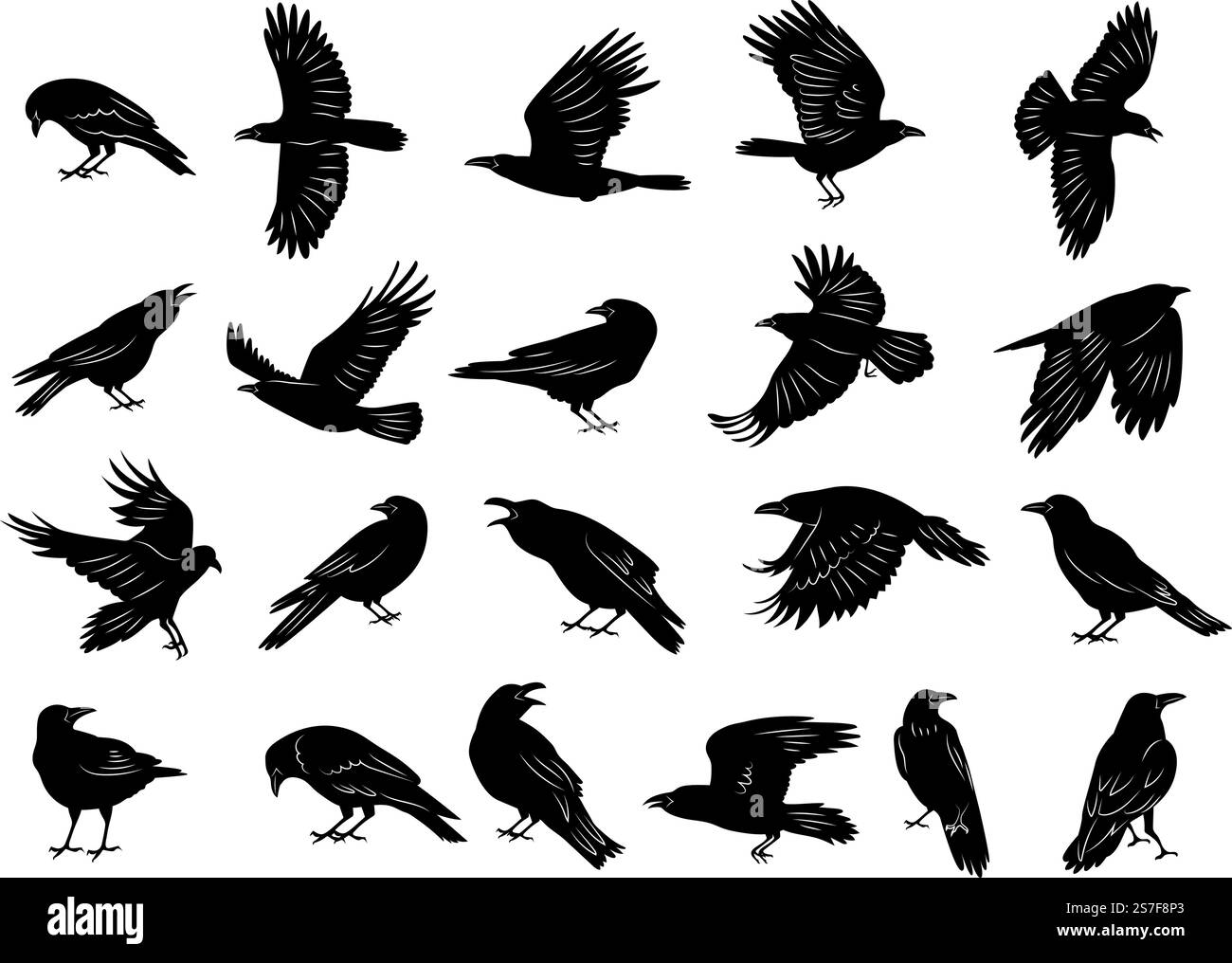 Crow birds. Flying ghotic birds silhouettes recent vector dark animals ...