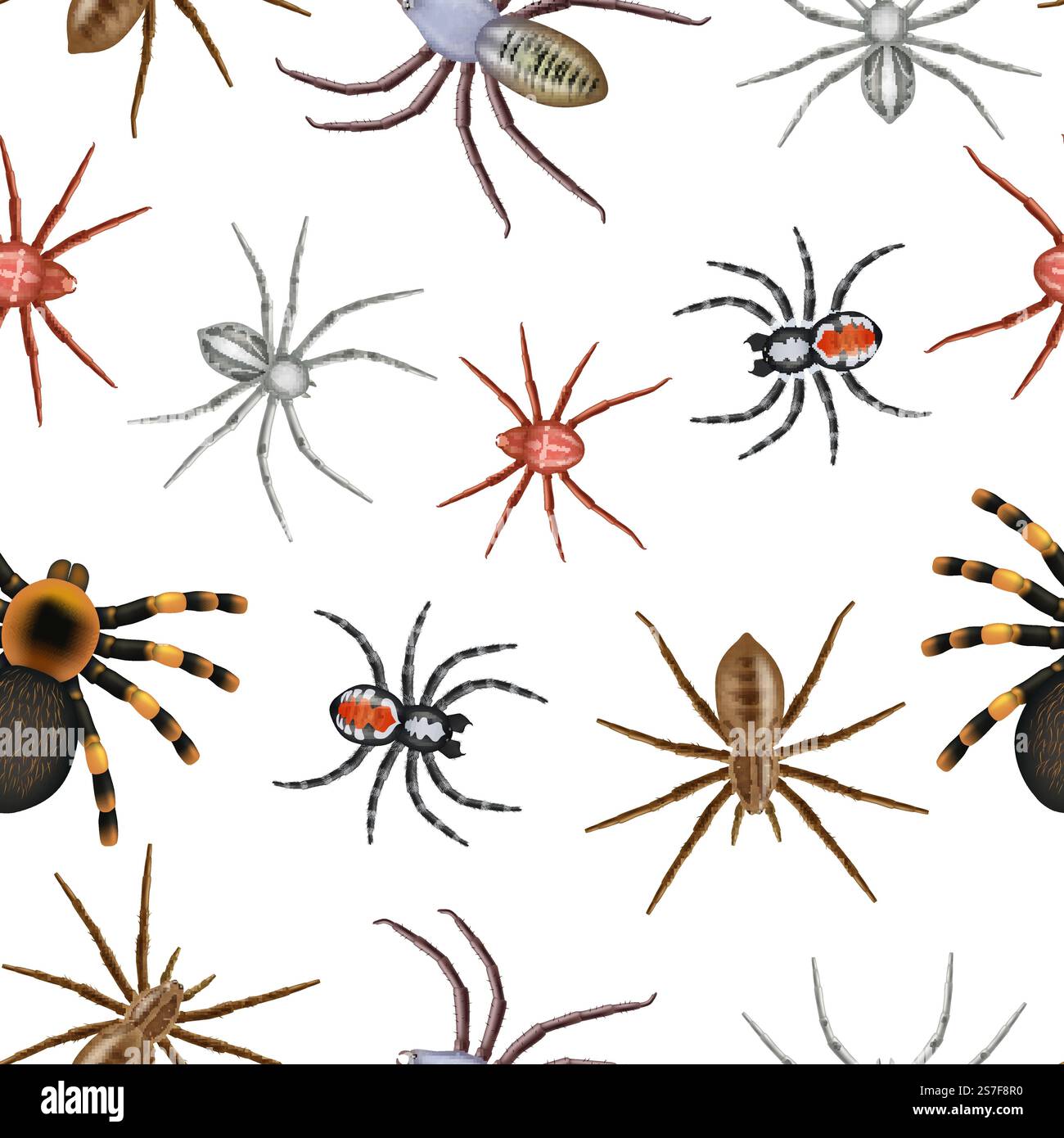 Spiders pattern. Realistic toxic spiders collection decent vector ...