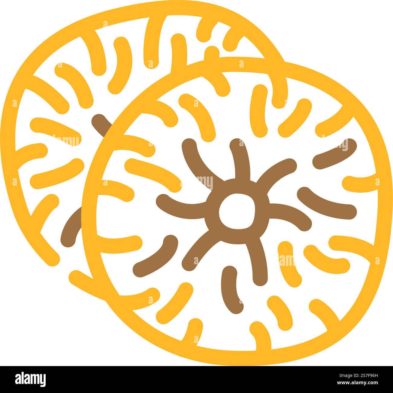 figs dried fruit color icon vector. figs dried fruit sign. isolated ...