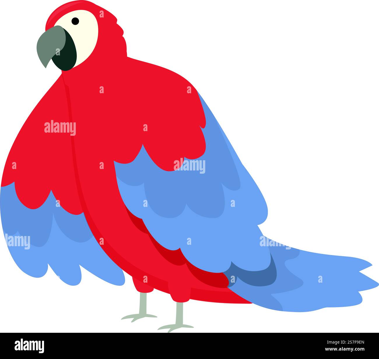 Genus zoo macaw icon cartoon vector. Tropical bird. Nature feather ...
