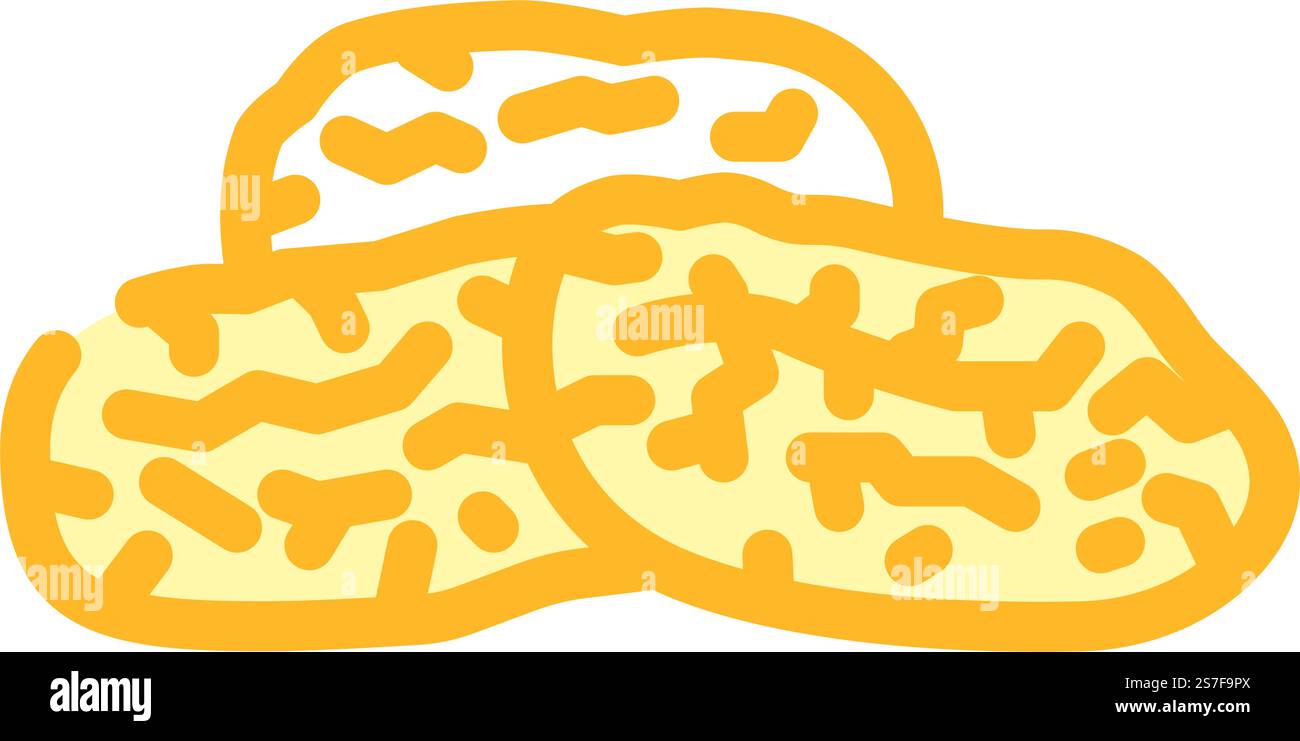 apricot dried fruit color icon vector. apricot dried fruit sign ...