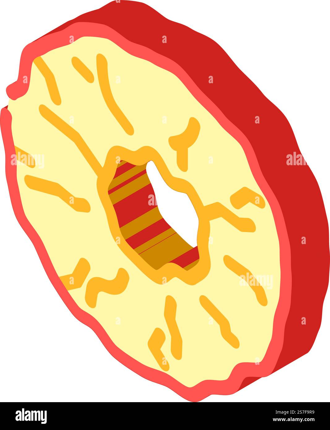 apple dried fruit isometric icon vector. apple dried fruit sign ...