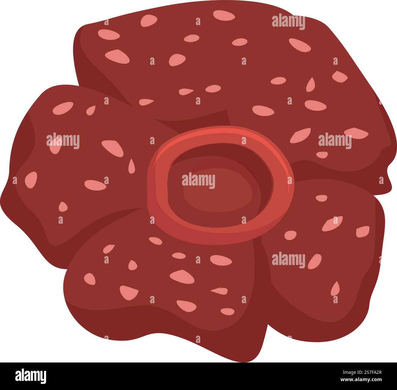 Rafflesia icon cartoon vector. Tropical floral. Botanical blossom ...