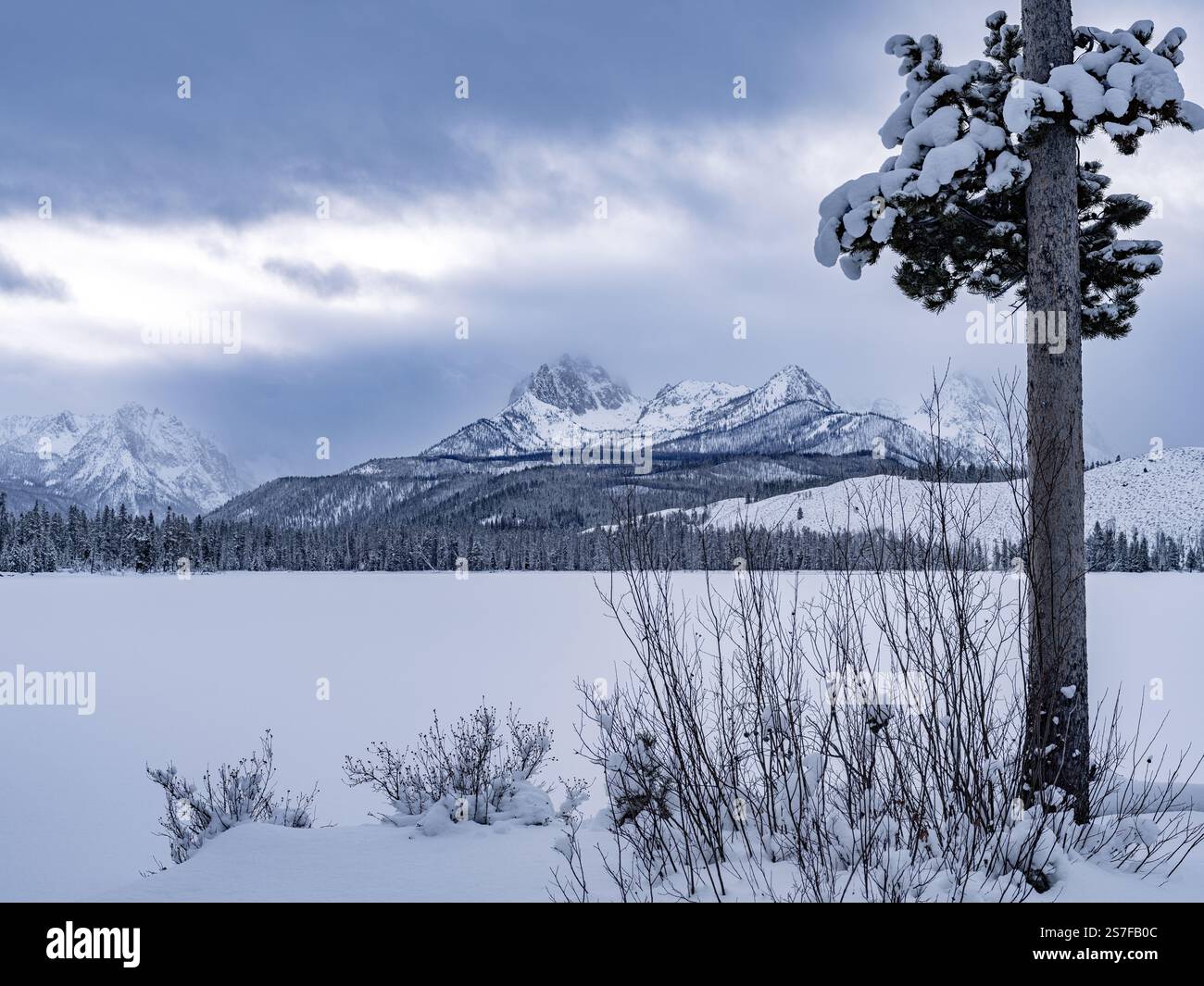 Sawtooth wilderness in winter with lake and pine tree Stock Photo - Alamy