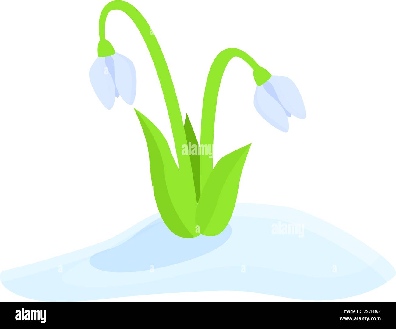 Snowdrop blossom icon cartoon vector. Spring flower. Petal fresh ...