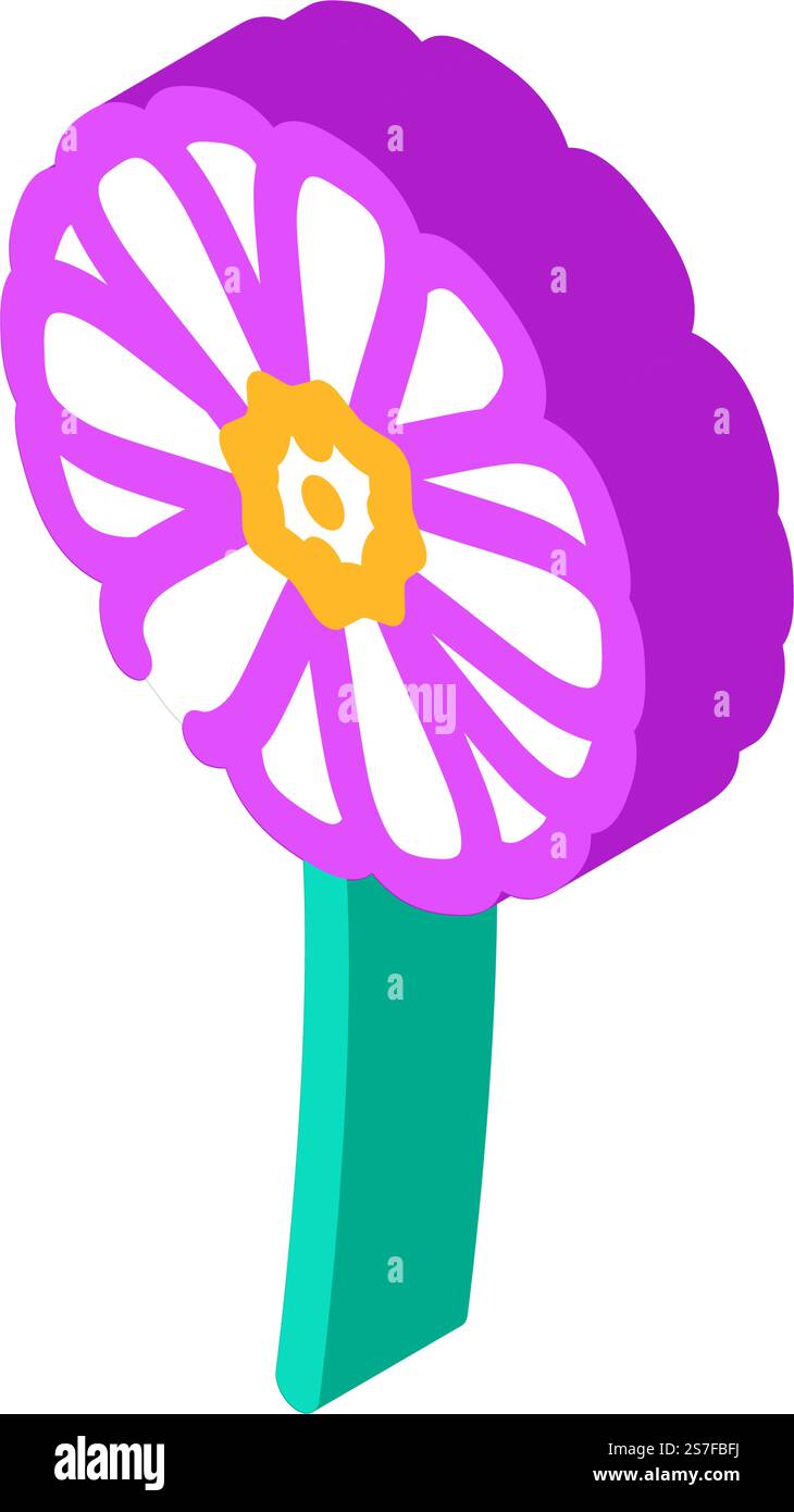 aster blossom spring isometric icon vector. aster blossom spring sign ...