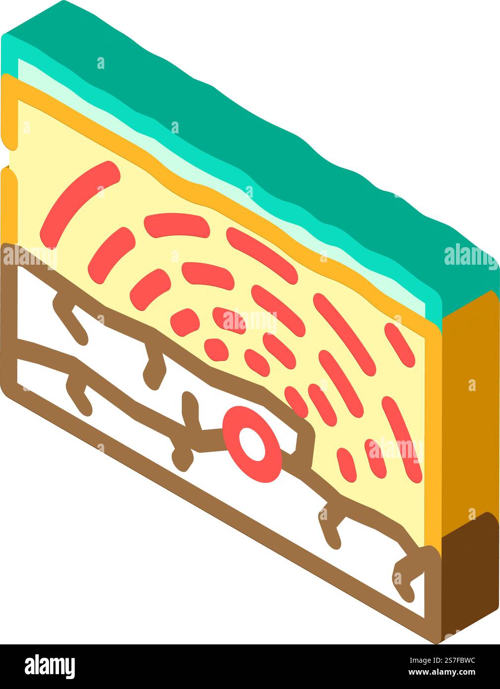 tectonic earthquake disaster isometric icon vector. tectonic earthquake ...