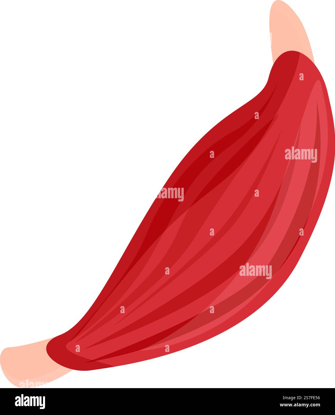 Hand bicep icon cartoon vector. Strong muscular. Flex body. Hand bicep ...