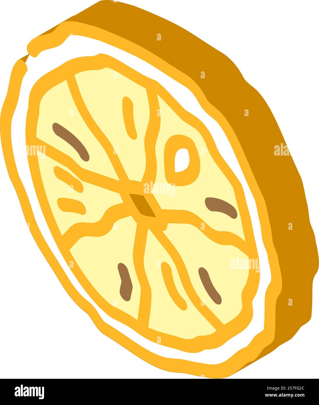 lemon dried fruit isometric icon vector. lemon dried fruit sign ...