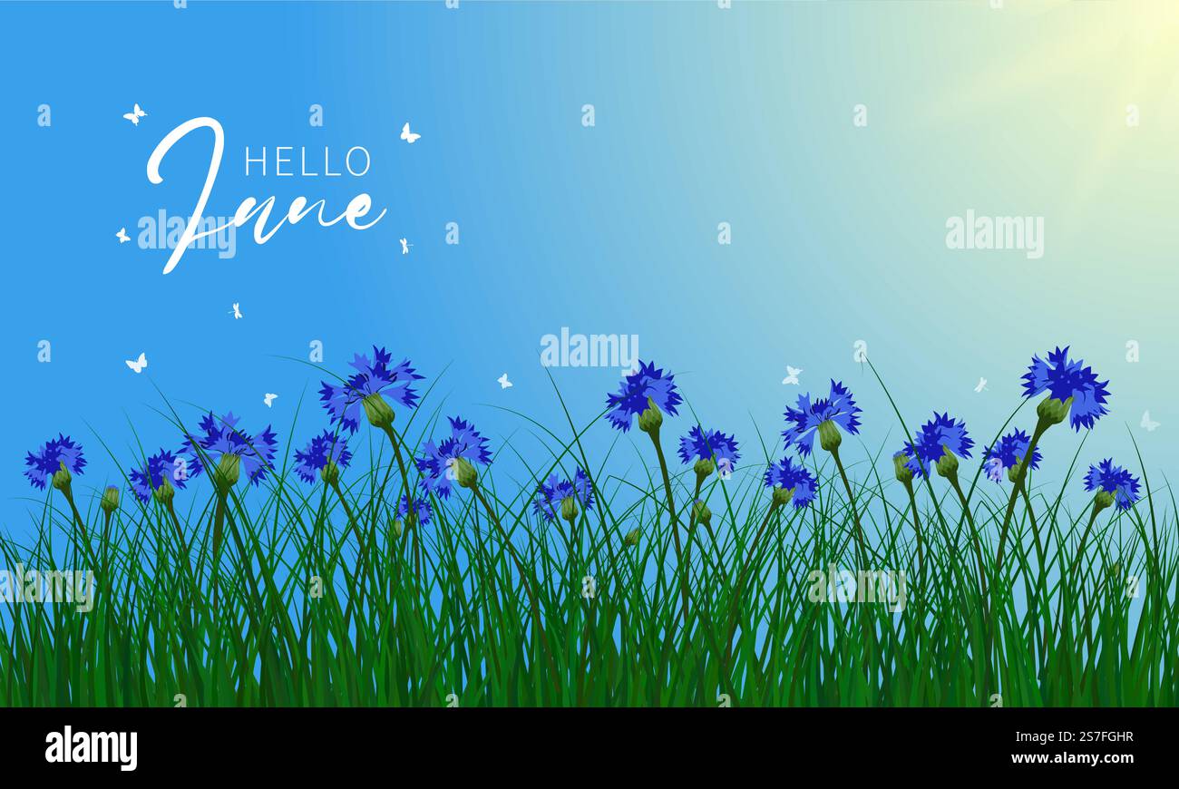 Welcome summer banner. Grass and flower on rustic summer background ...