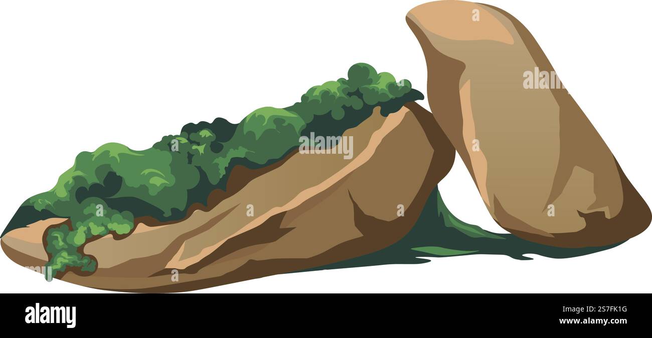 Wet cliff vegetation Stock Vector Images - Alamy