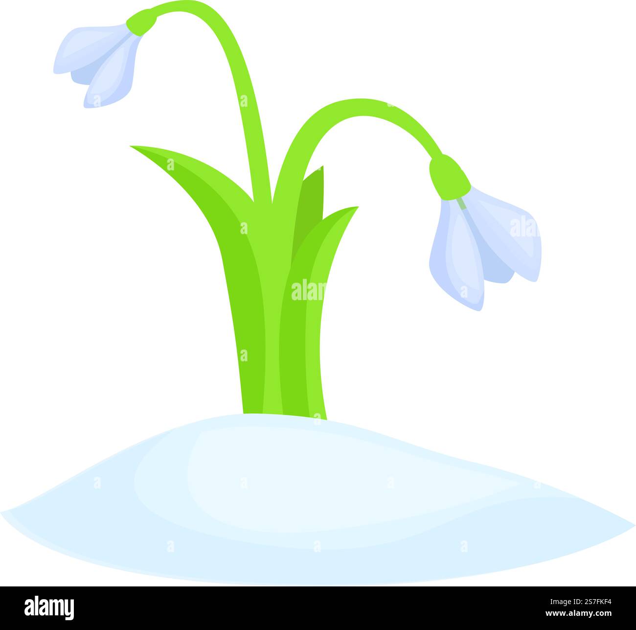 Winter snowdrop icon cartoon vector. Spring flower. Petal blossom ...