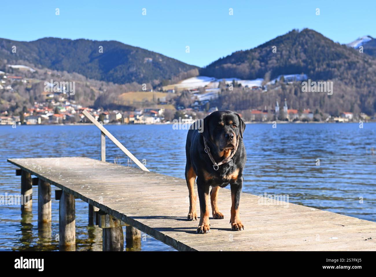 Wetterbild vom 19.01.2025. Strahlend blauer Himmel am Ufer vom ...