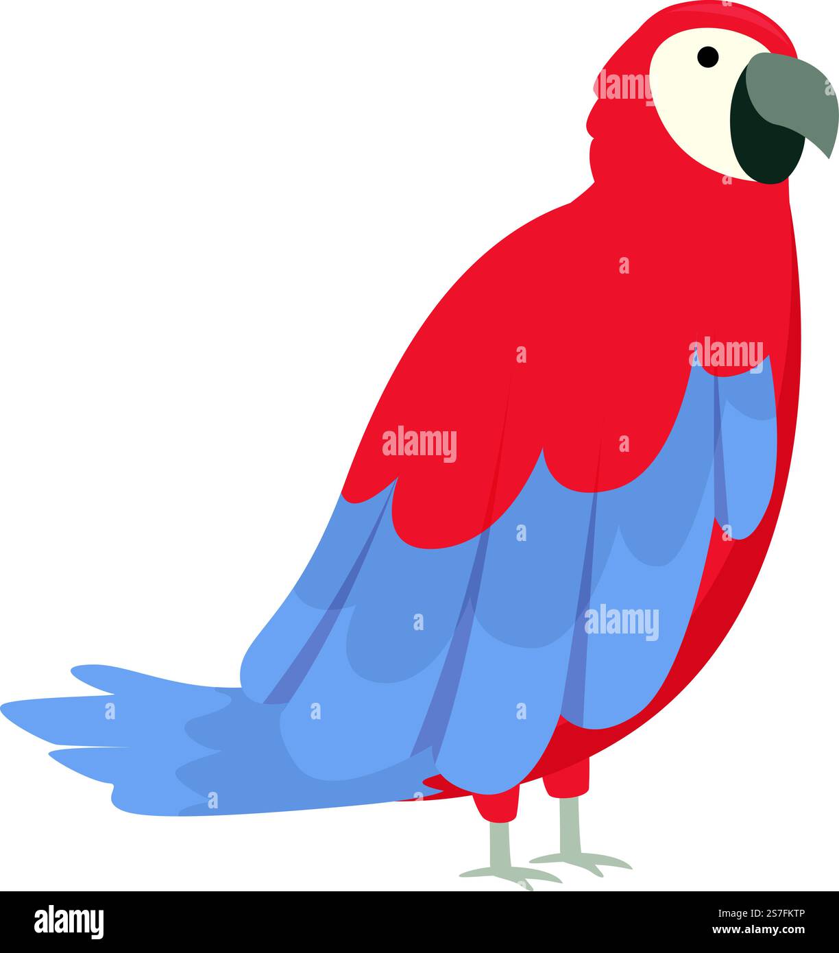 Paradise macaw icon cartoon vector. Parrot bird. Tropical red. Paradise ...