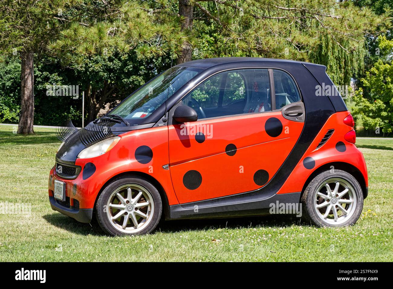 Car eyelashes hi-res stock photography and images - Alamy
