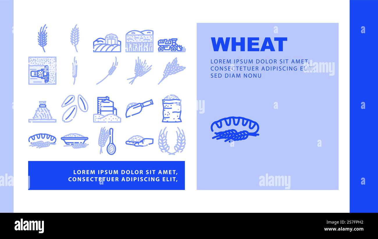 wheat grain cereal plant landing web page header vector. barley bread ...