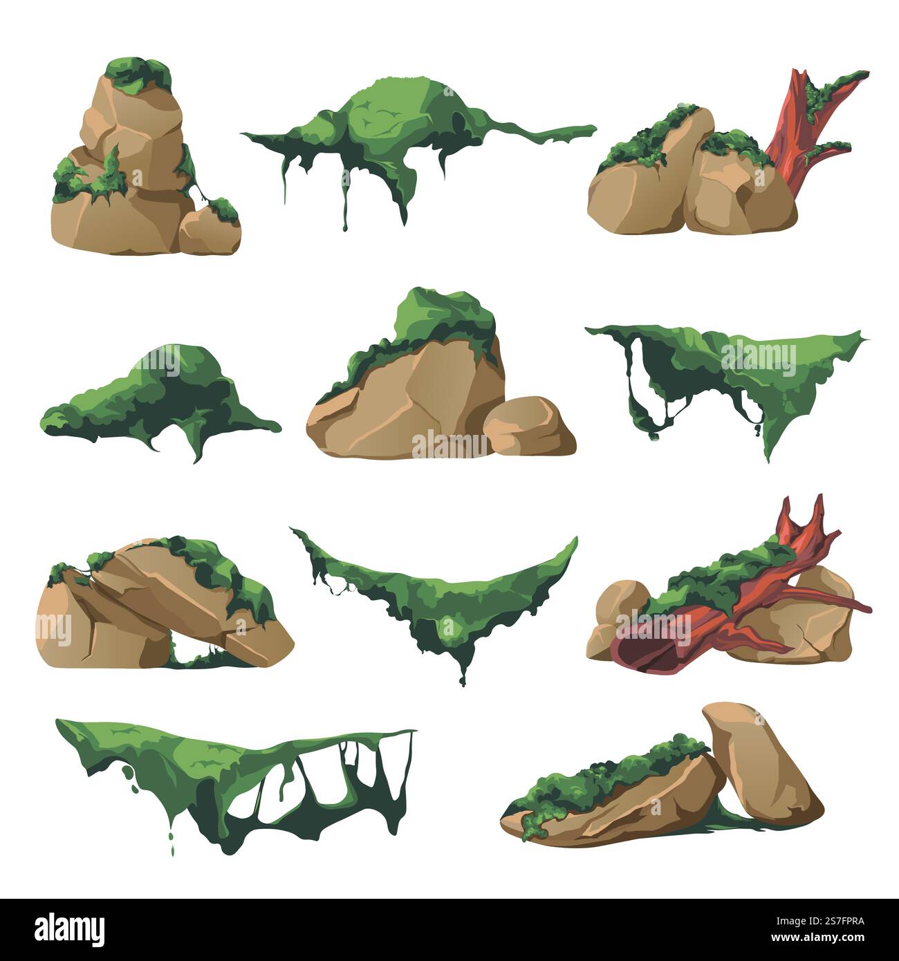 Growing on mossy rocks Stock Vector Images - Alamy