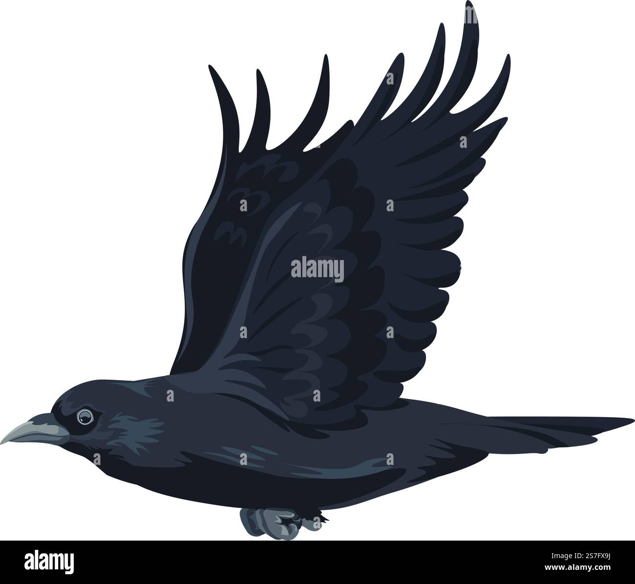 Crow or raven with spread wings in motion, isolated flying large black ...