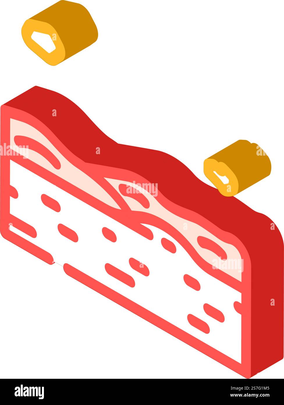 martian landscape mars planet isometric icon vector. martian landscape ...