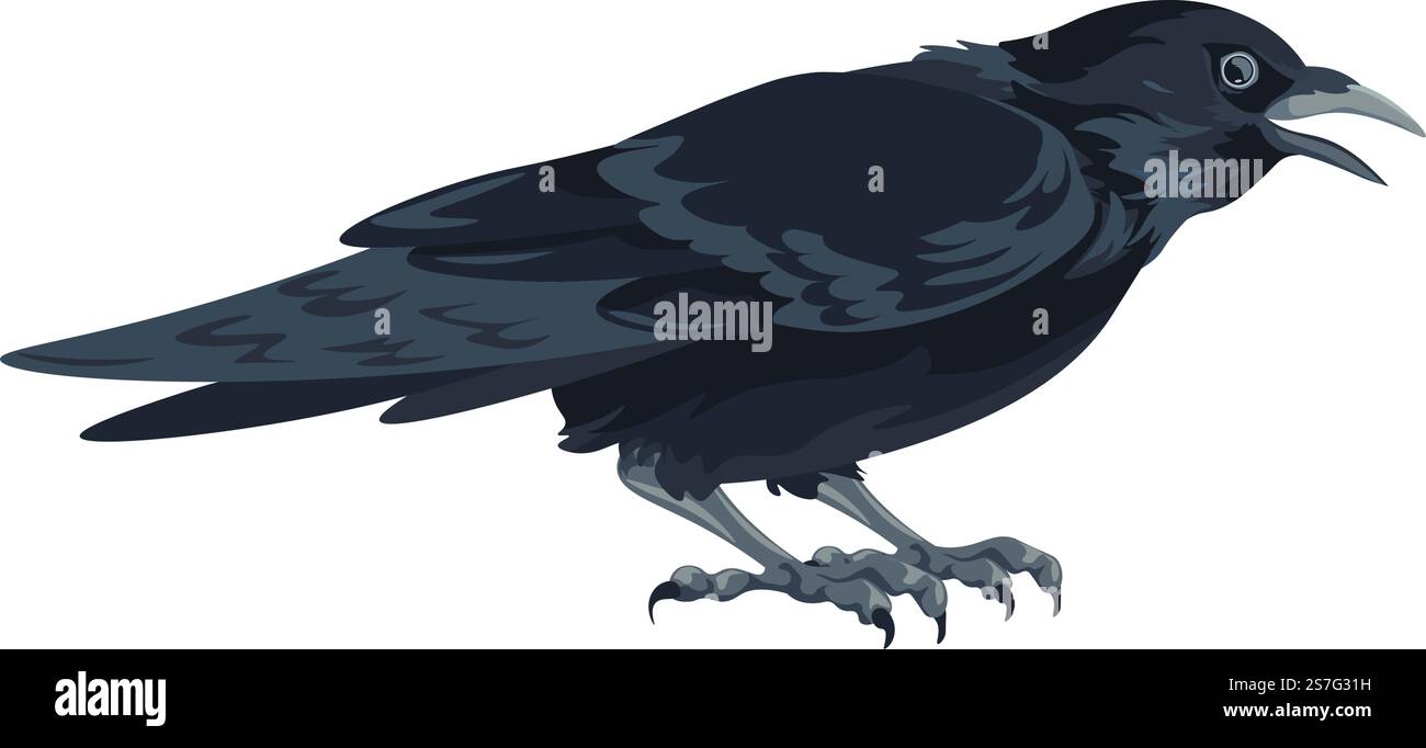 Squawking crow Stock Vector Images - Alamy