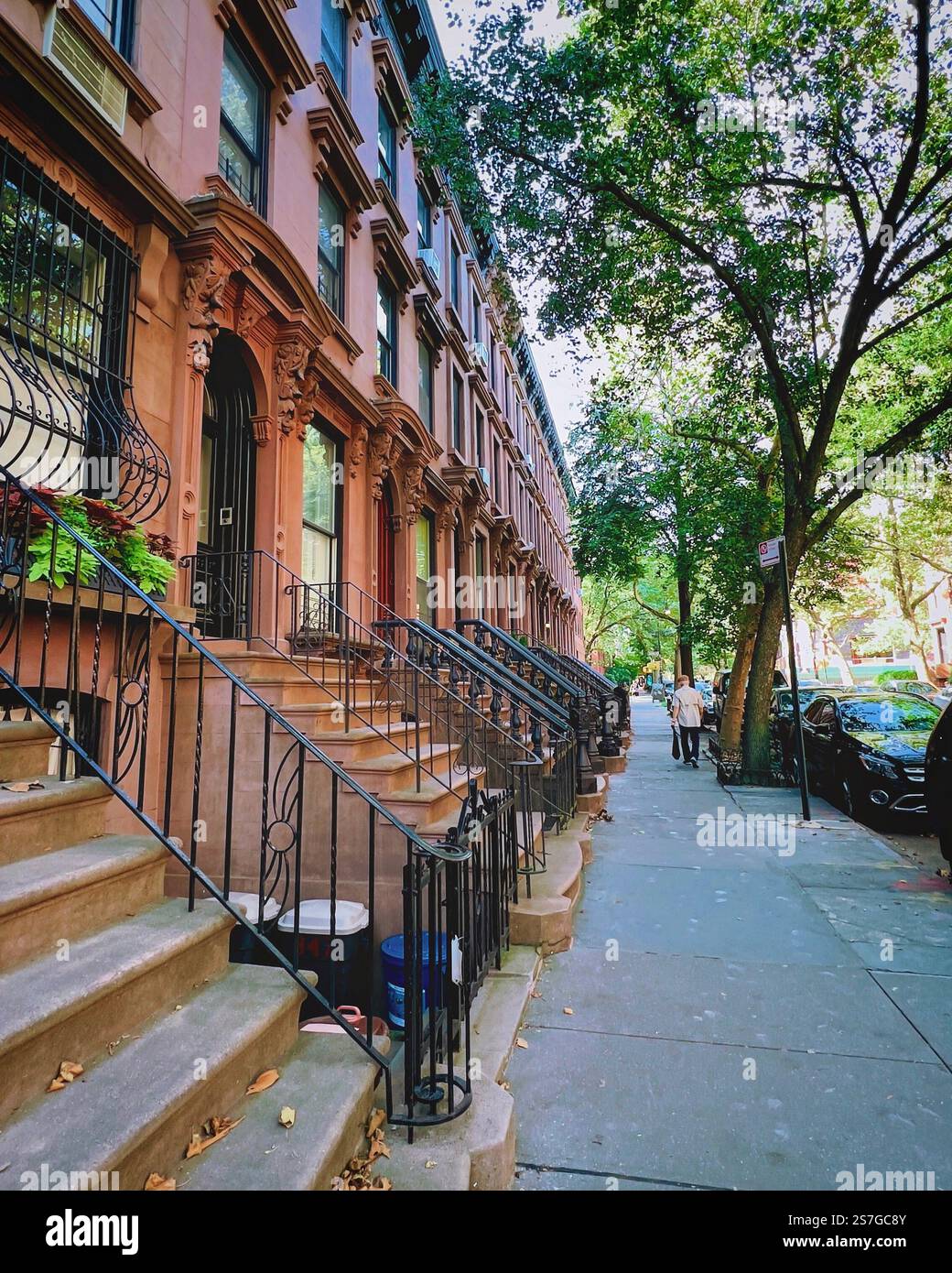 Classic Brownstone Buildings in a tree-lined neighborhood of Brooklyn ...