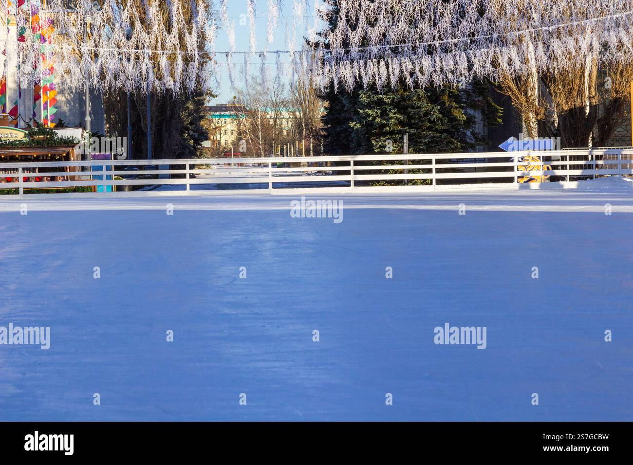 Blue ice on a winter skating rink. Lights above it, trees in the ...