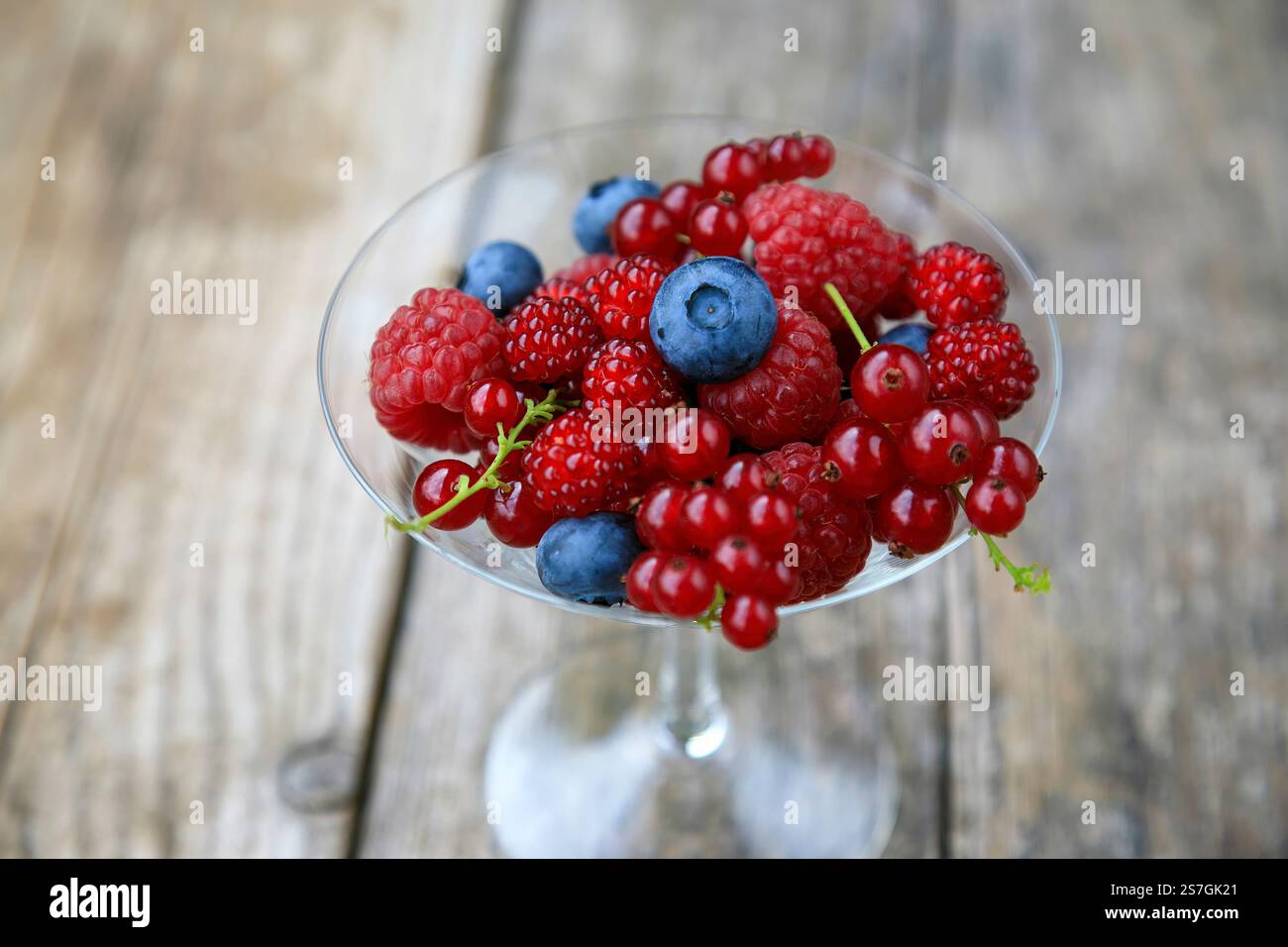 Raspberries, Japanese wineberries (Rubus phoenicolasius) and ...