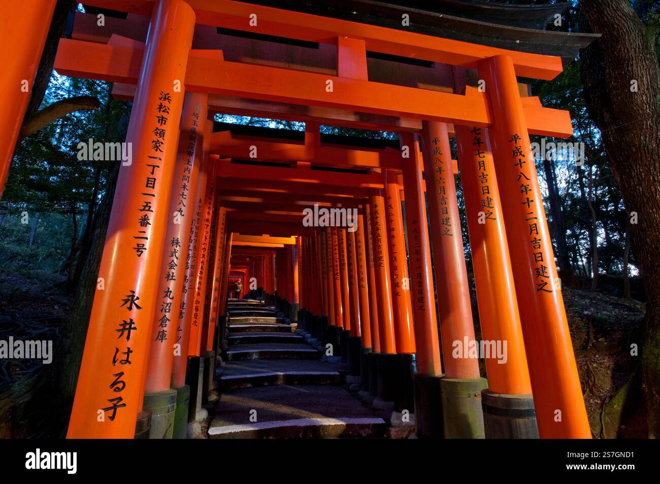 Kyoto's Shinto shrine Fushimi Inari Taisha "senbon torii" (1,000 gates ...