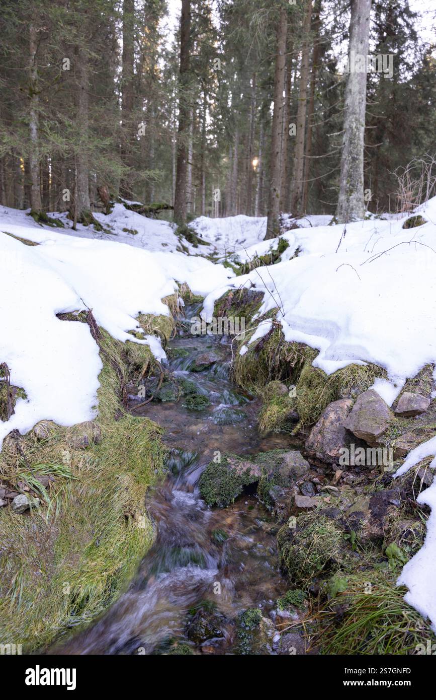 Thueringer Wald 1912025 - Der Bergbach Traenke unterhalb des ...