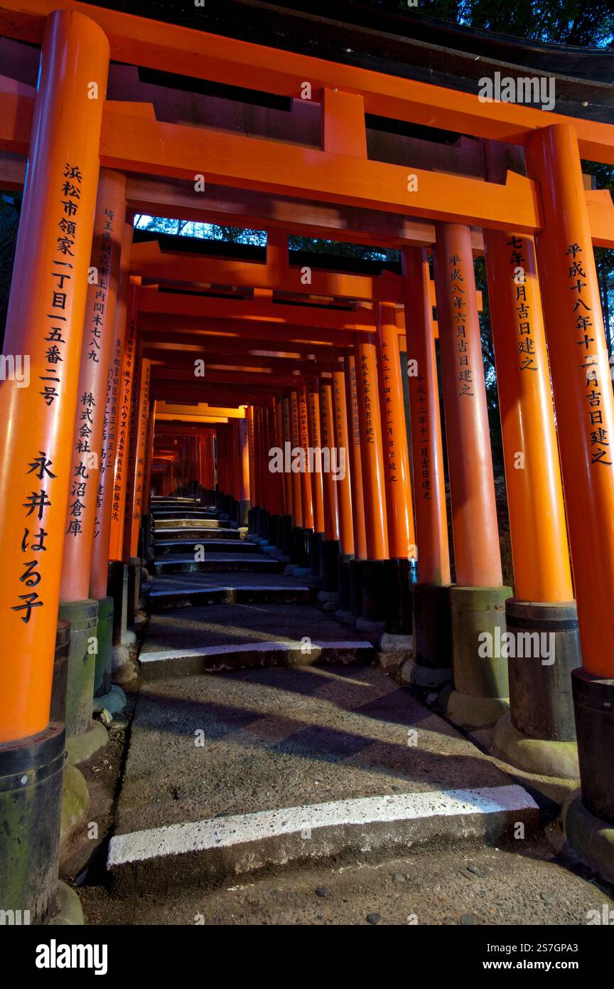 Kyoto's Shinto shrine Fushimi Inari Taisha "senbon torii" (1,000 gates ...