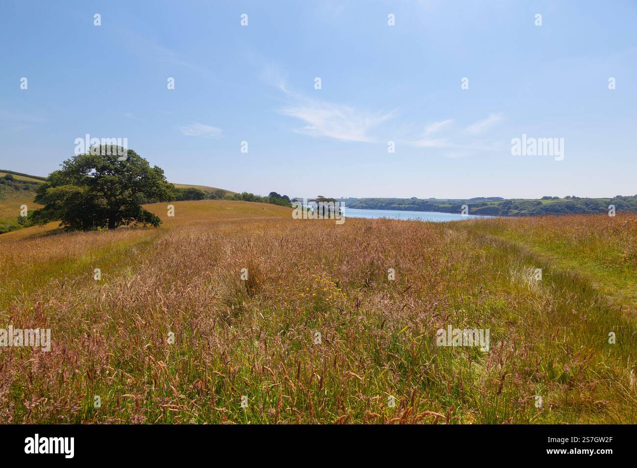 Glendurgan garden hi-res stock photography and images - Alamy